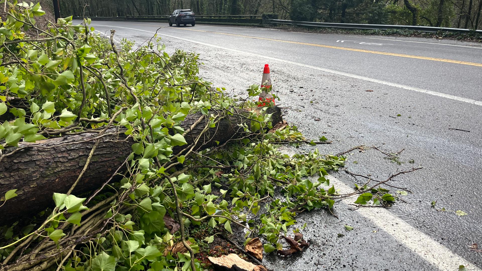 Thousands still without power in Portland metro after heavy windstorm ...