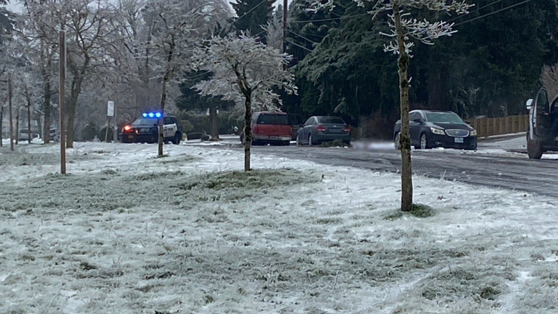Downed power line kills 3 people in Portland | kgw.com