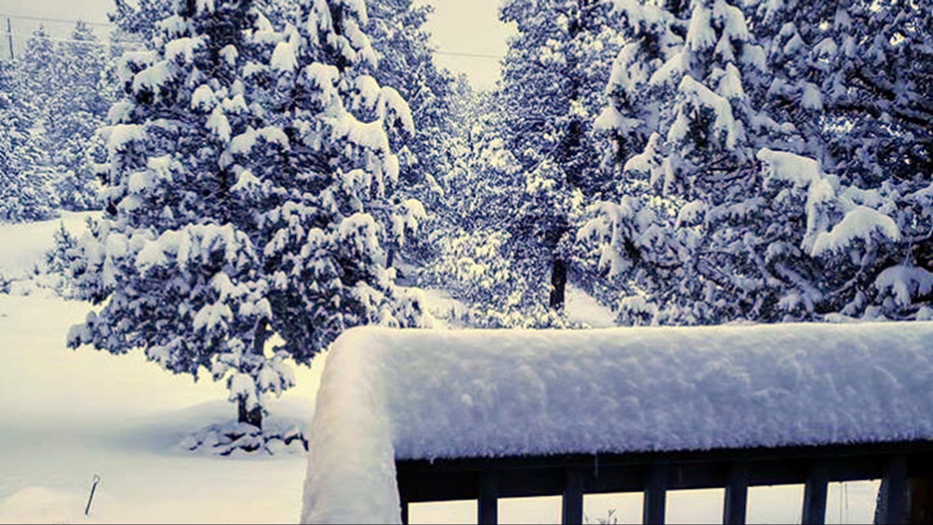 Your Pics: Snow in Portland and other areas of Oregon and Washington ...