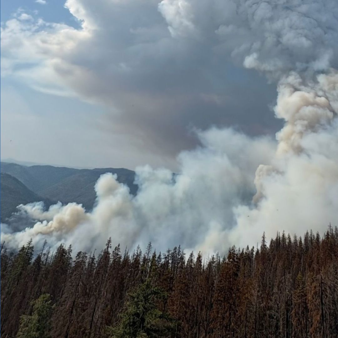 Wildfire prompts closures in Willamette and Umpqua forests | kgw.com