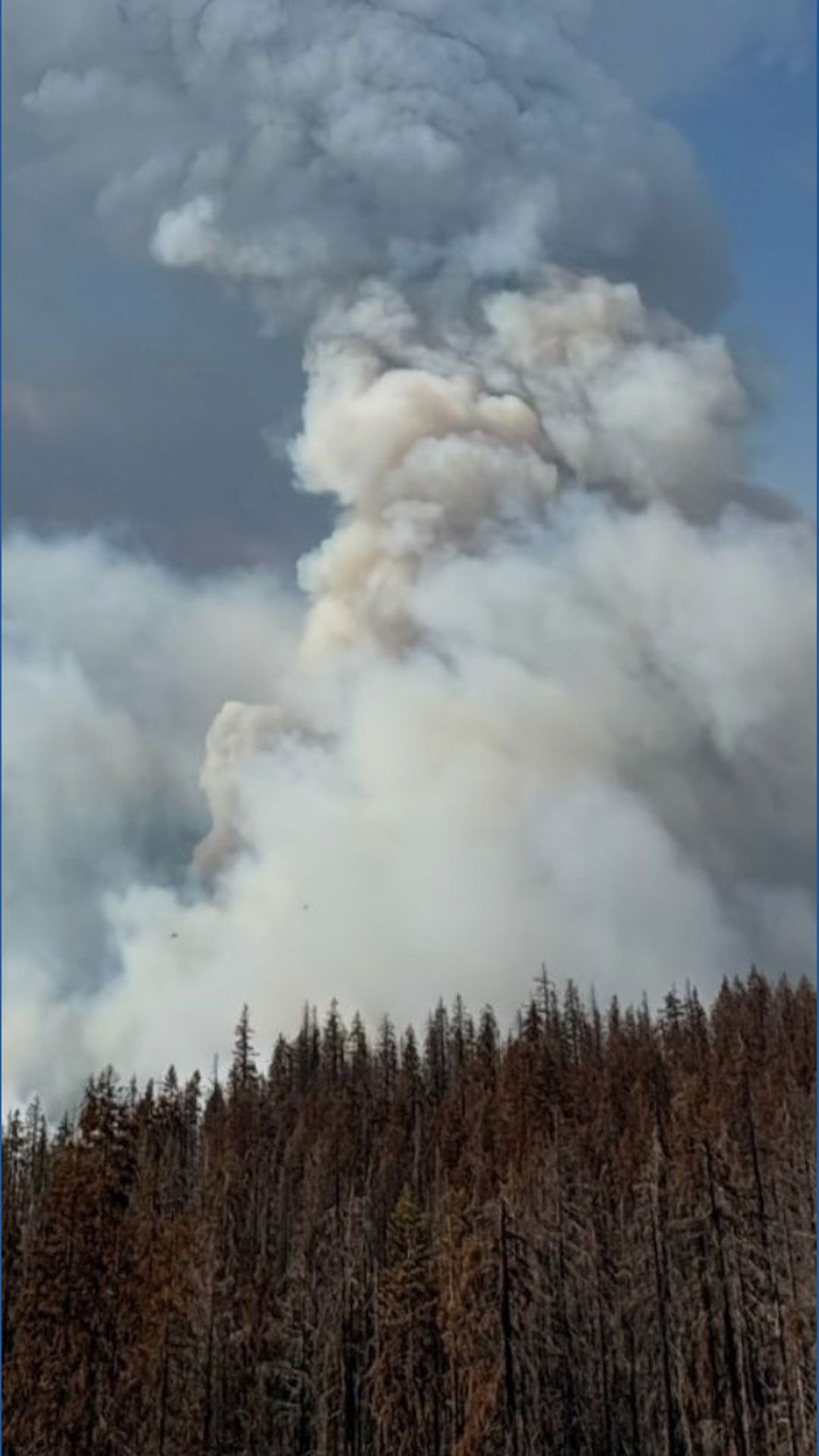 Wildfire prompts closures in Willamette and Umpqua forests | kgw.com