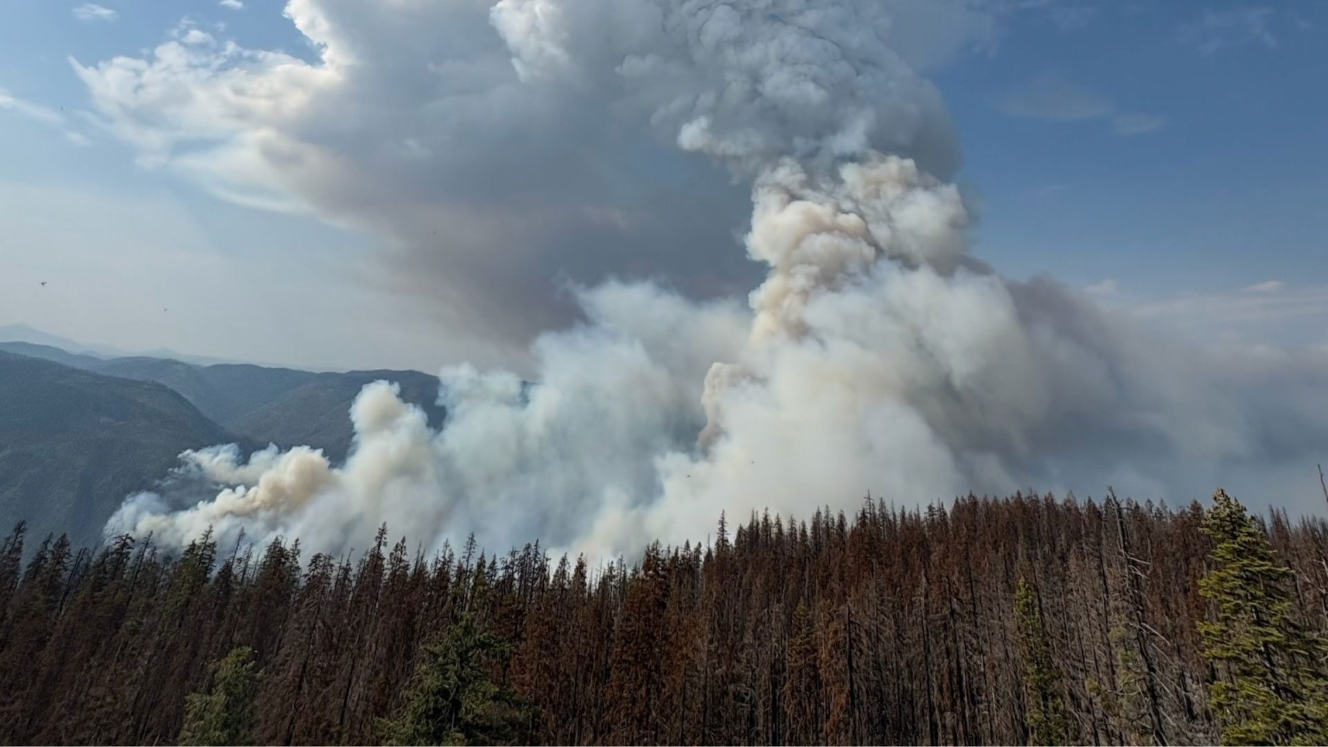 Wildfire prompts closures in Willamette and Umpqua forests | kgw.com