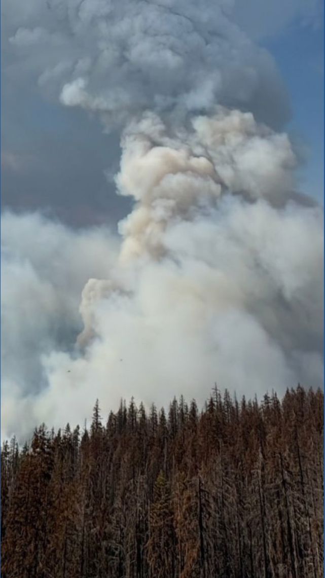 Wildfire prompts closures in Willamette and Umpqua forests | kgw.com