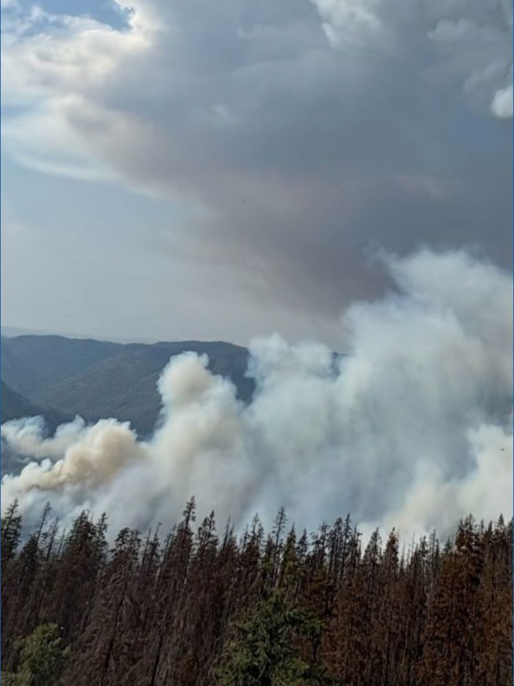 Wildfire prompts closures in Willamette and Umpqua forests | kgw.com