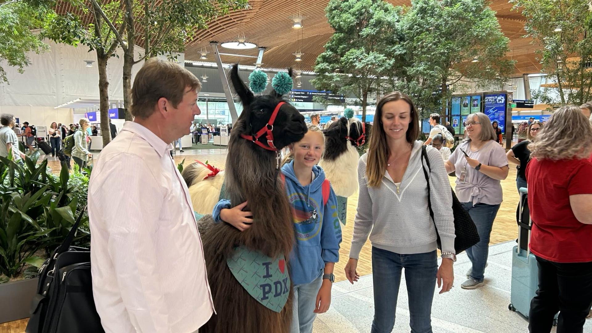 Rave reviews for Portland airport main terminal on first day | kgw.com