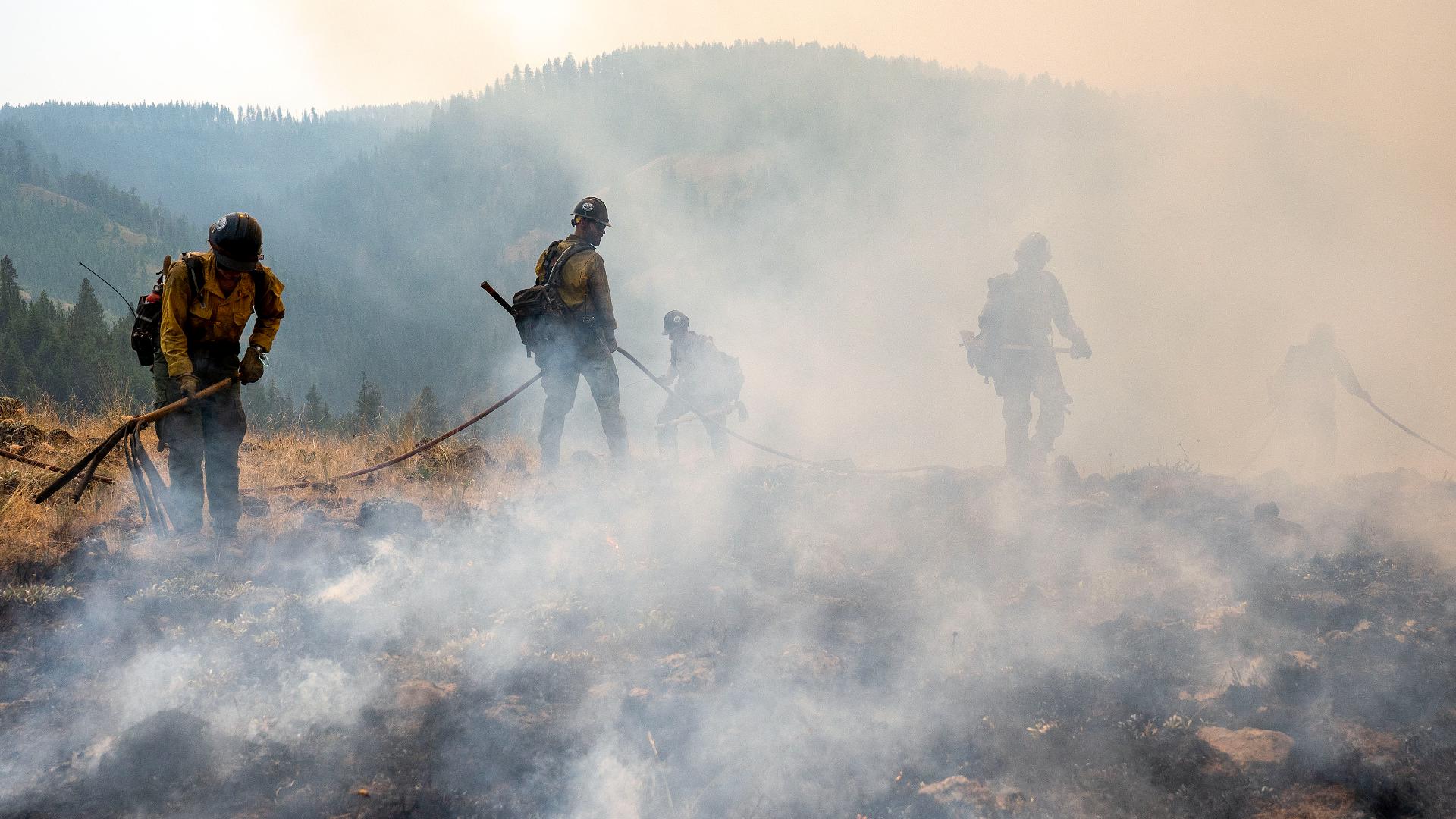 2 firefighters battling Bear Gulch Fire arrested by Border Patrol | kgw.com