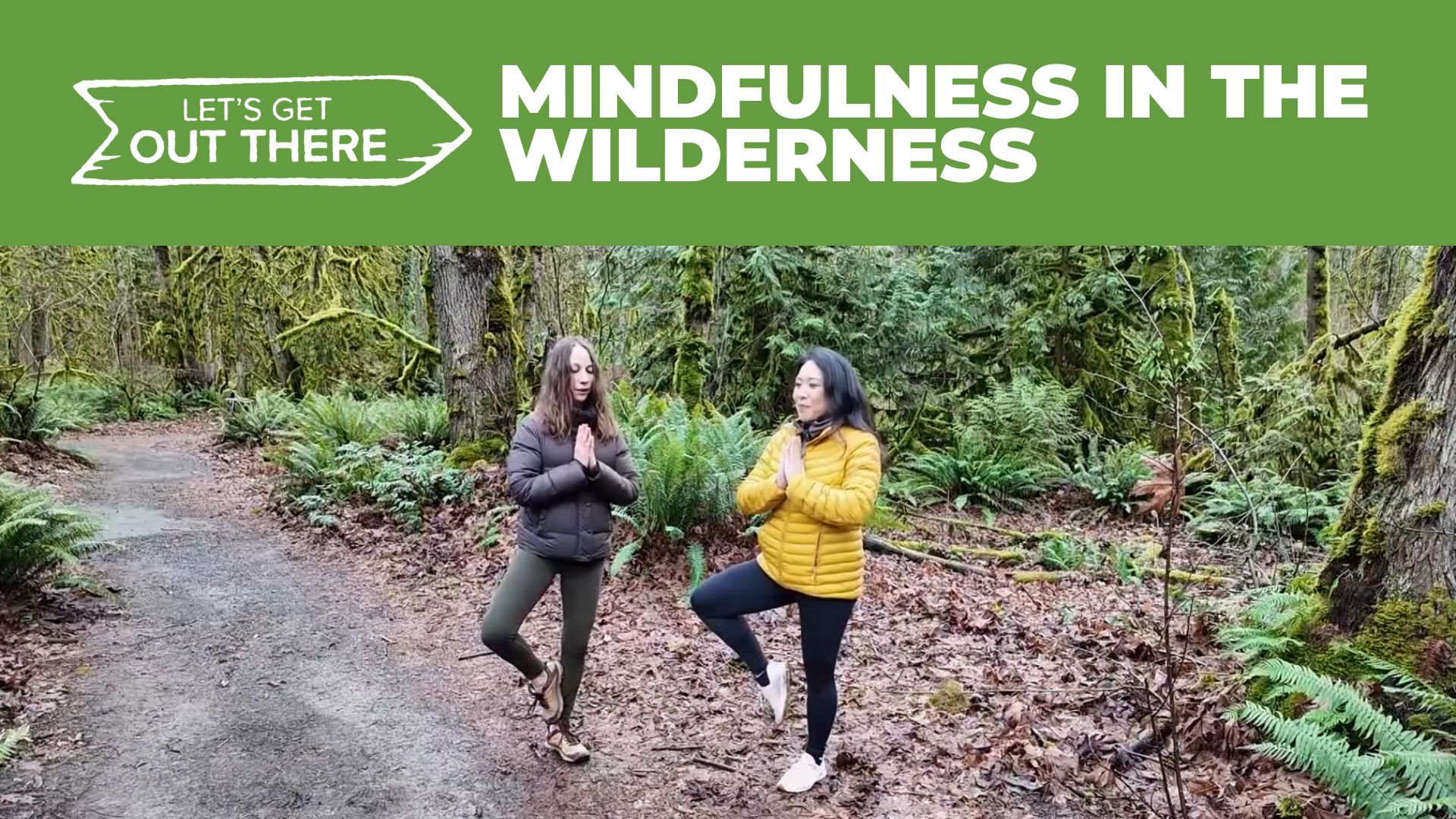 Finding mindfulness in the woods: Yoga at Tryon Creek | kgw.com