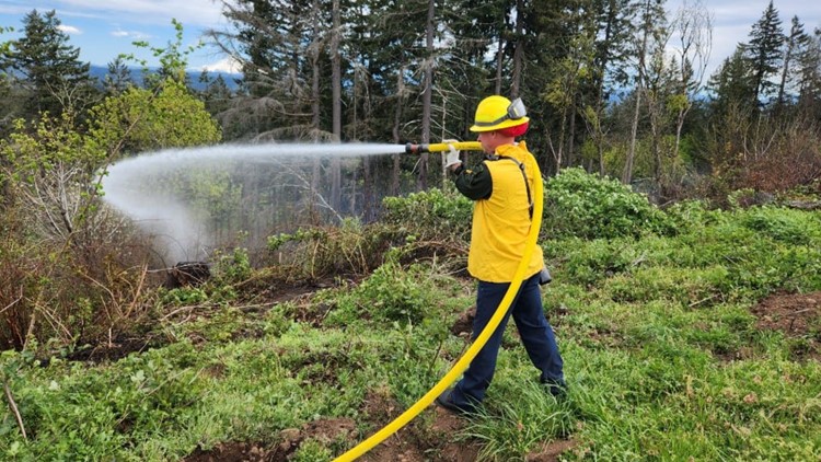 3 vegetation fires extinguished Saturday in Oregon | kgw.com