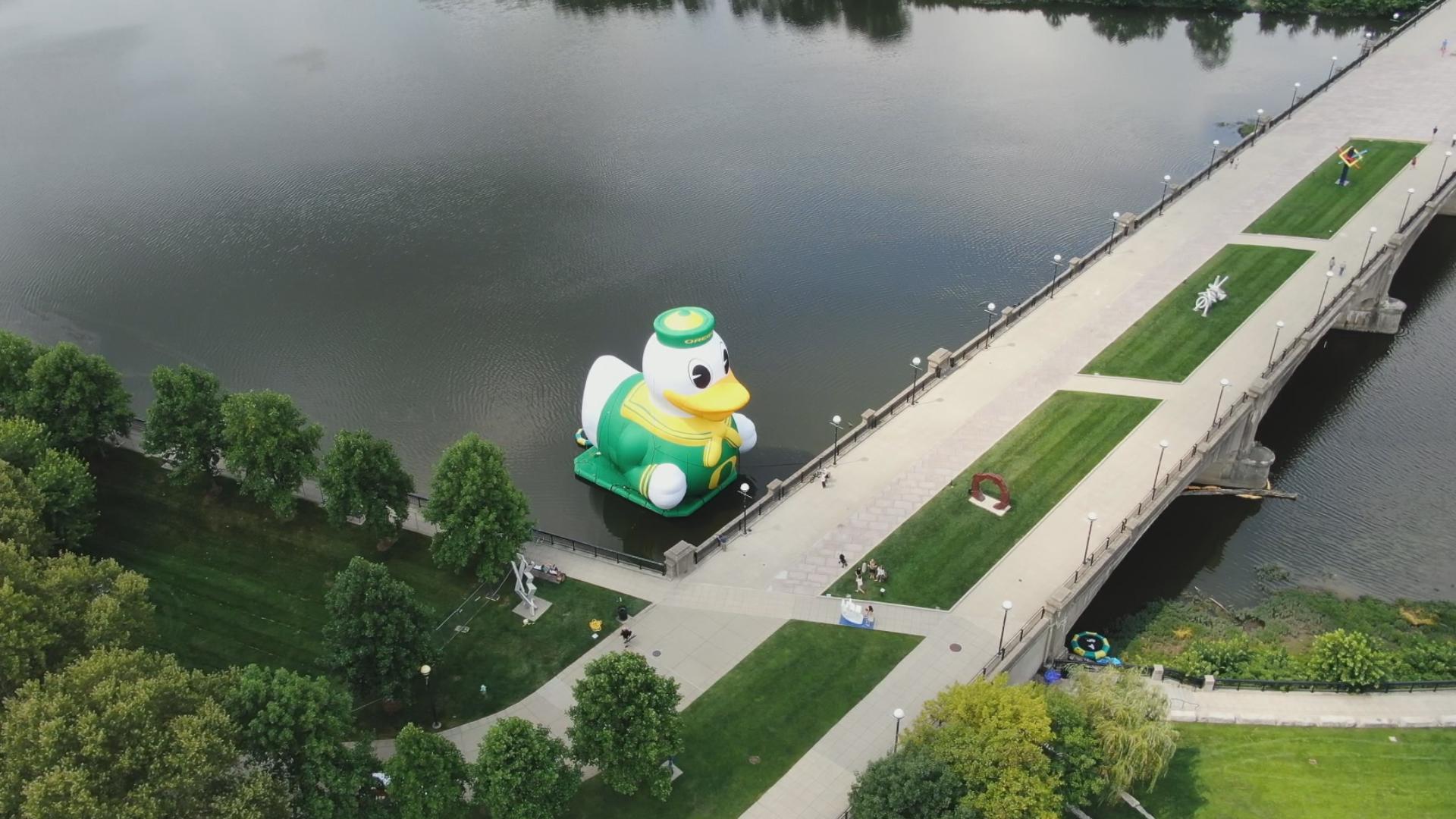 Giant Ducks inflatable appears at Big Ten media days | kgw.com