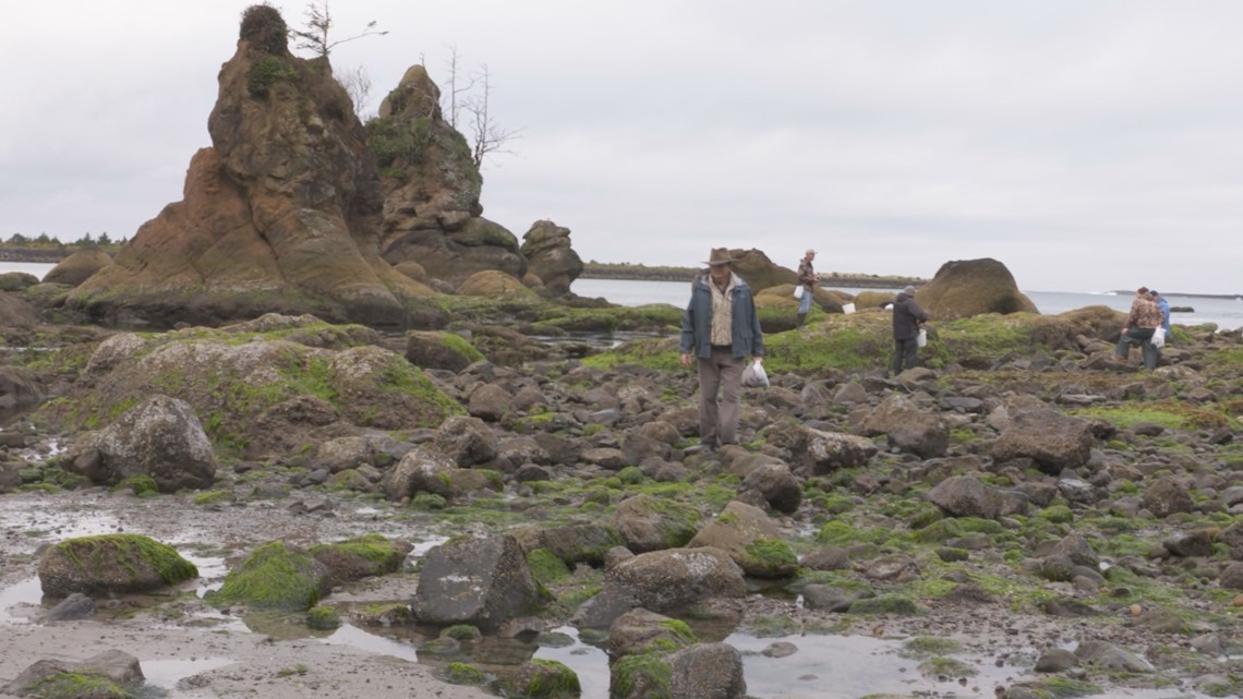 Foraging for Oregon's edible plants and shellfish | kgw.com