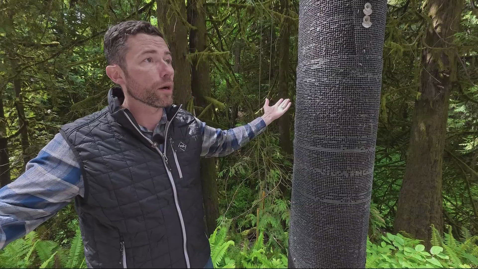 What's that mesh wrapped around power poles? Meet PGE's solution to ...