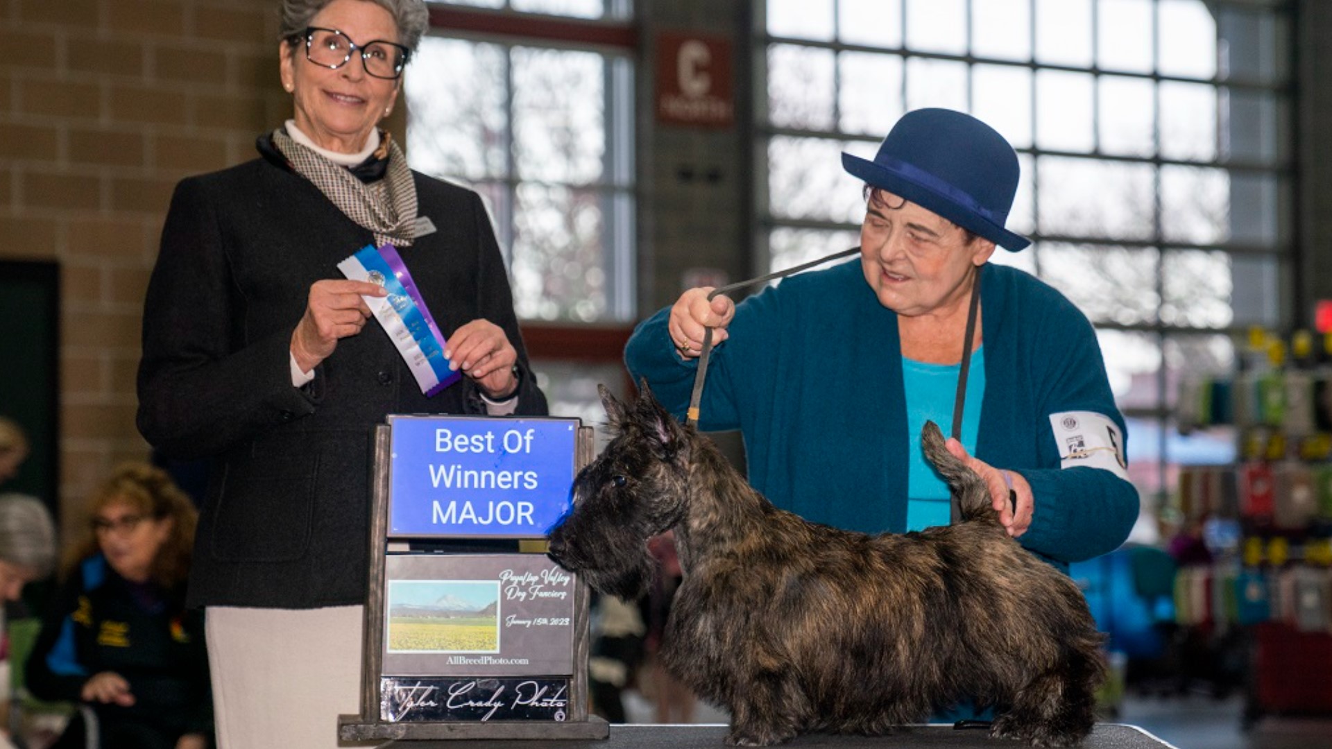 Four show dogs found safe after stolen cargo van recovered | kgw.com