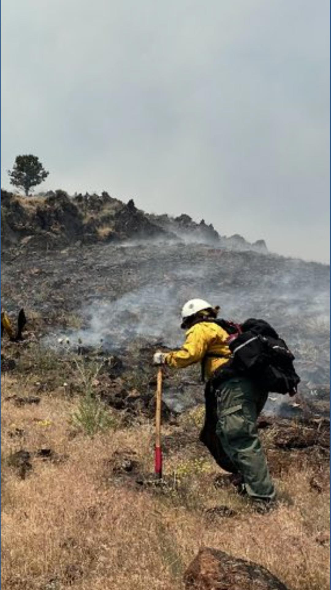 Oregon Sunnyside fire grows to 750 Acres, crews work overnight | kgw.com