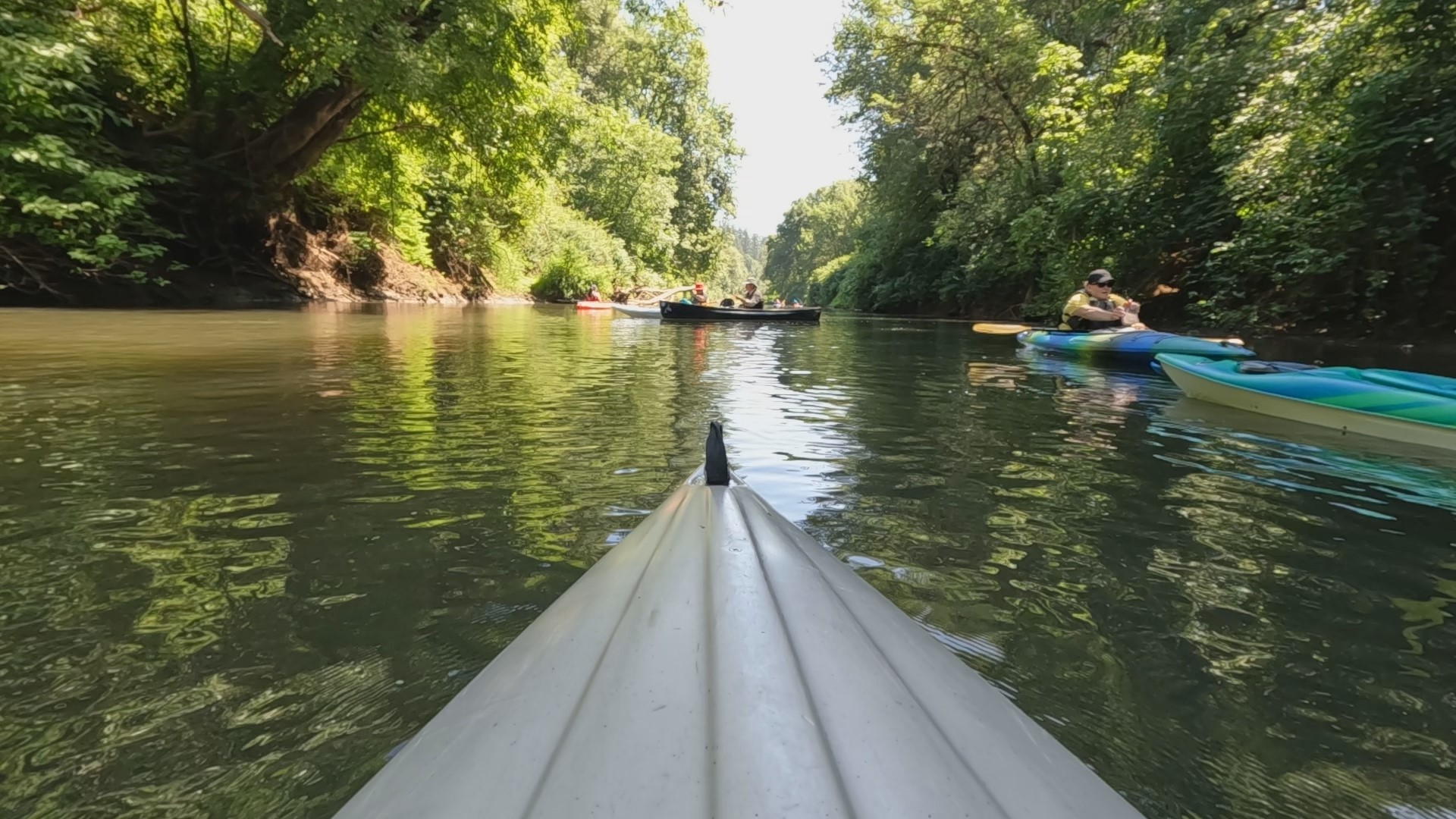 Tualatin River offers a chance at the summer paddle challenge | kgw.com