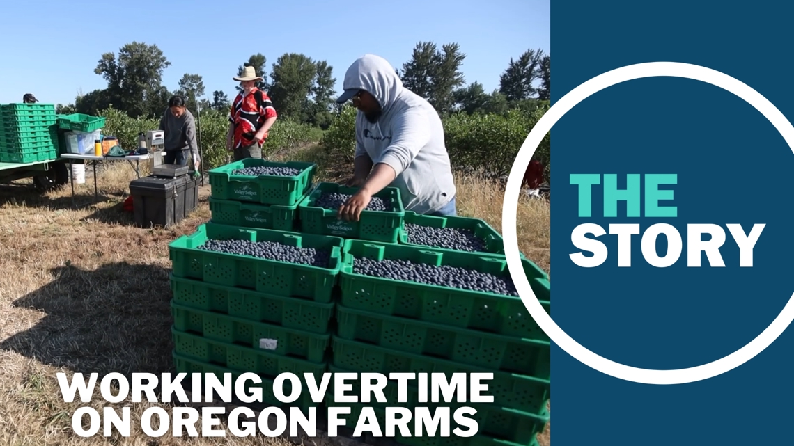 Oregon farmer says she can't afford to pay workers overtime, now that ...