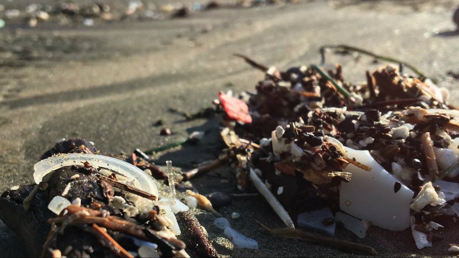 'Just unbelievable': Piles of trash washing up on Oregon Coast | kgw.com