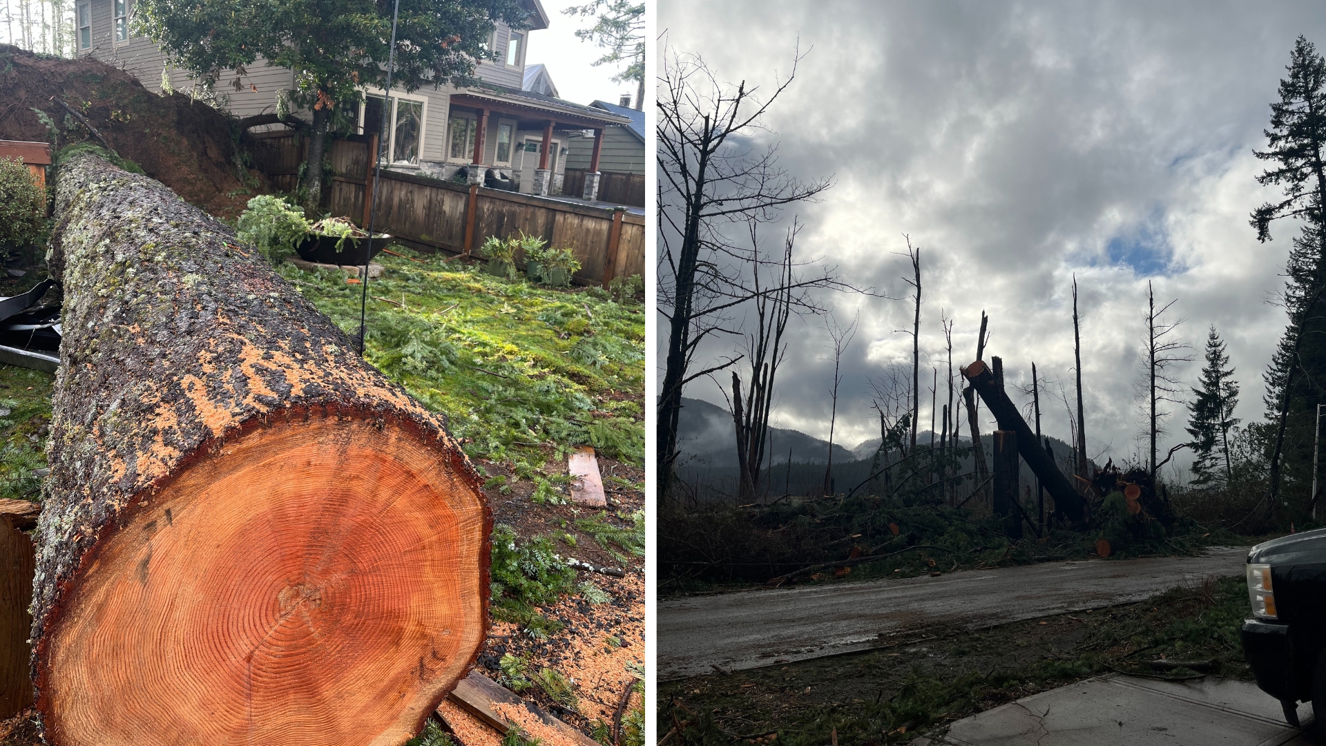 Over 70 structures left damaged in Detroit after last week's storm ...