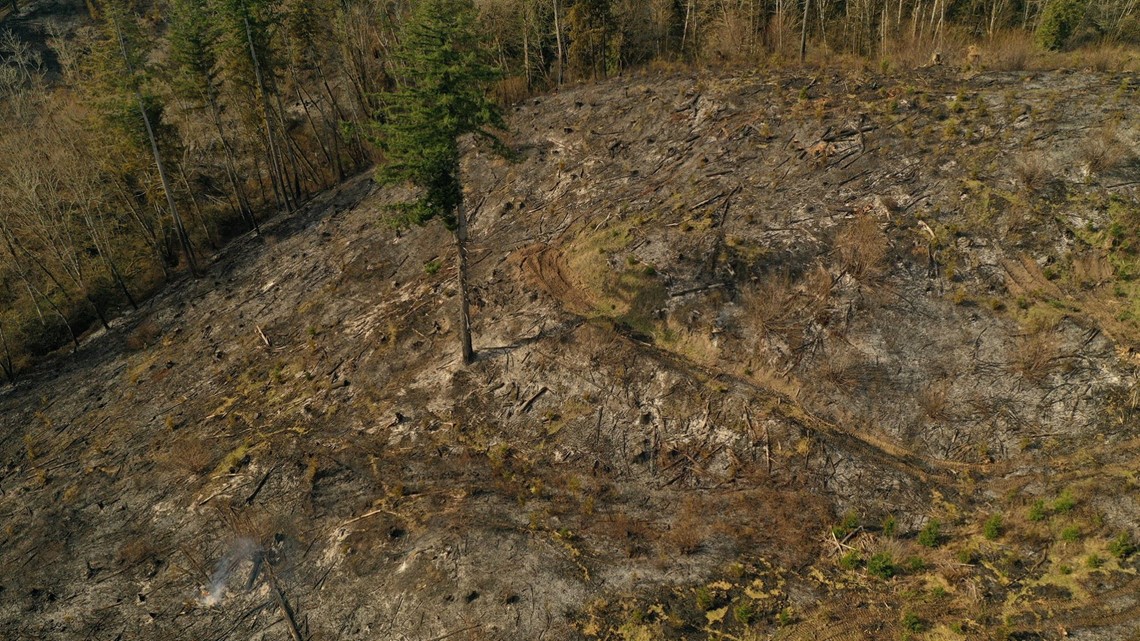 Fire in Cowlitz County fully contained; burn ban lifted | kgw.com