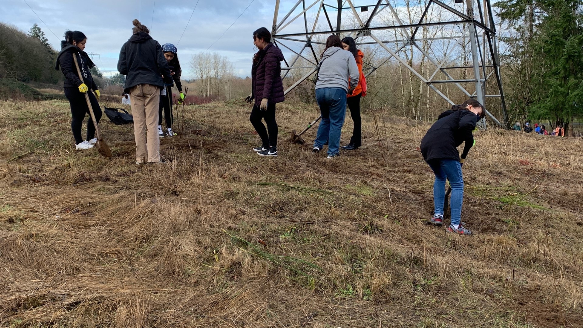 Celebrating Martin Luther King Jr. Day in Oregon: Events | kgw.com