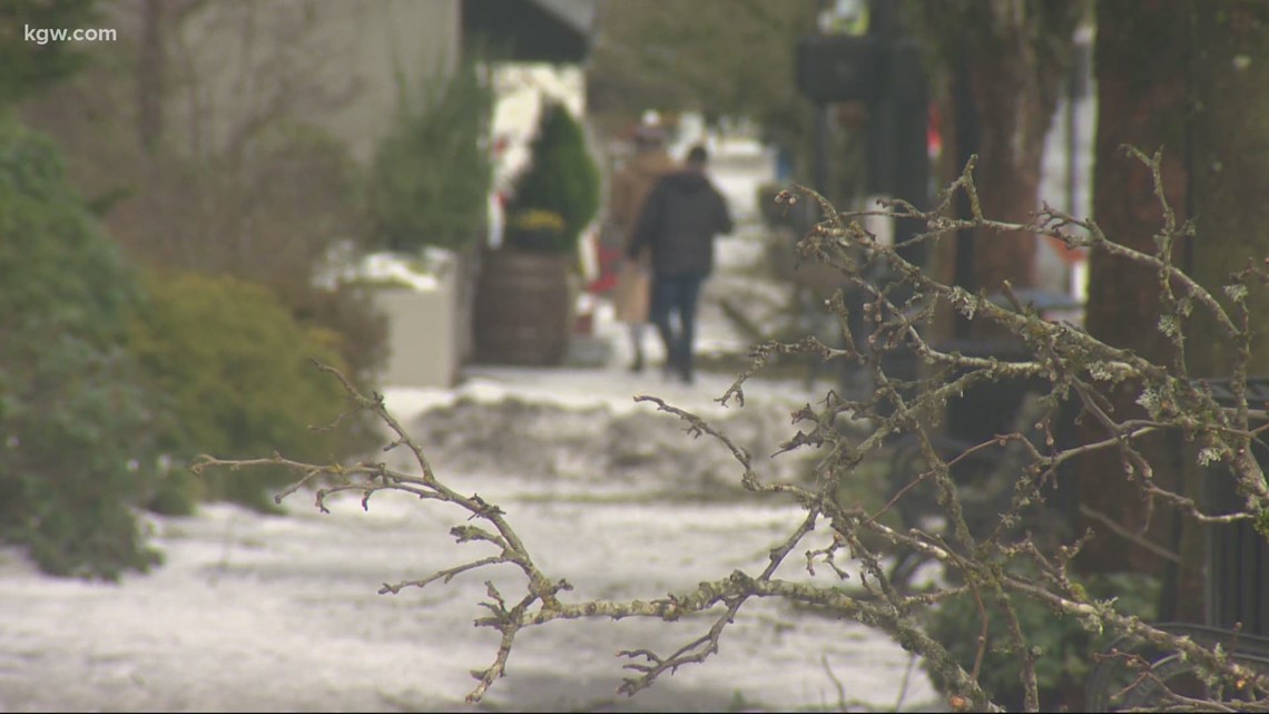 Risk of trees, branches falling days after Portland winter storm | kgw.com