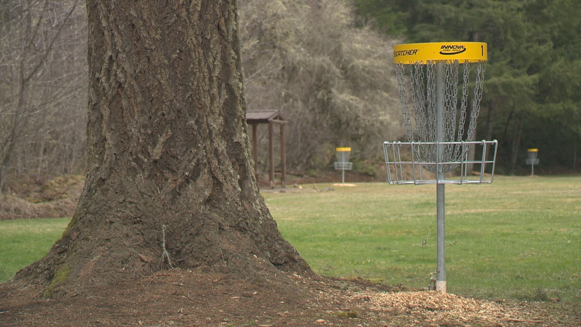 Estacada's Metzler Park has a variety of outdoor fun for everyone | kgw.com