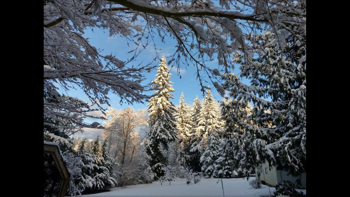 Snow forecast: Winter Weather Advisory for the Portland and Vancouver ...