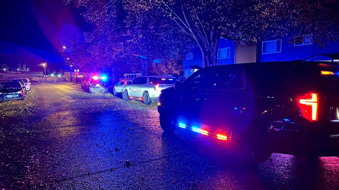 Person in critical condition after shooting in Washington home | kgw.com
