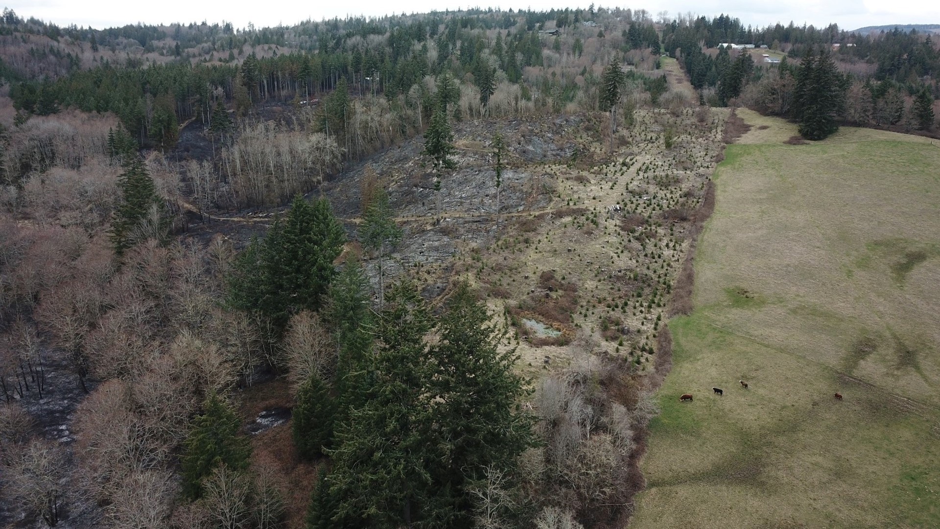 Fire in Cowlitz County fully contained; burn ban lifted | kgw.com