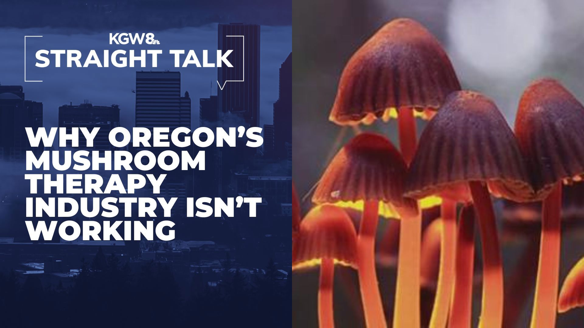 Can Oregon's pioneering psilocybin therapy bounce back with new ...