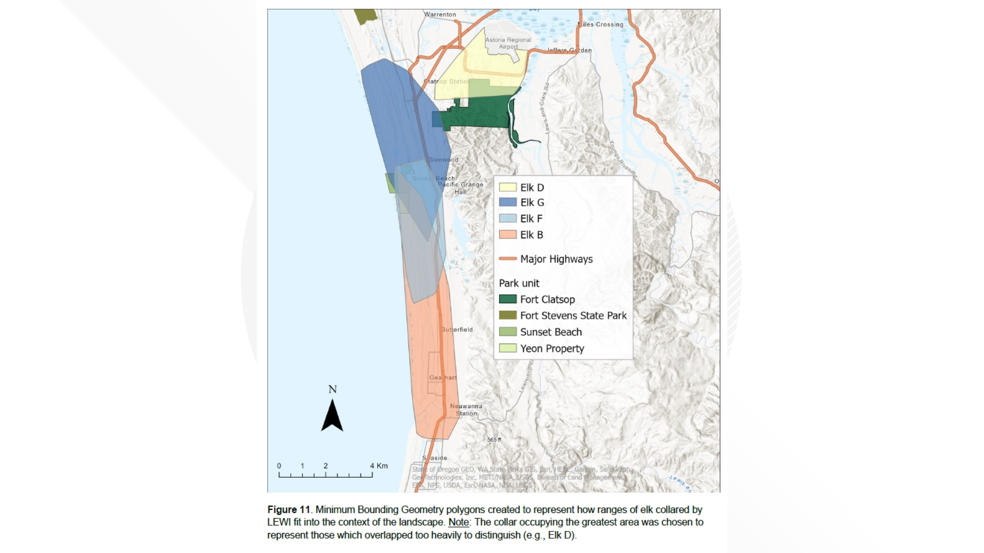 Oregon Coast elk herds targeted in state-sanctioned killings | kgw.com