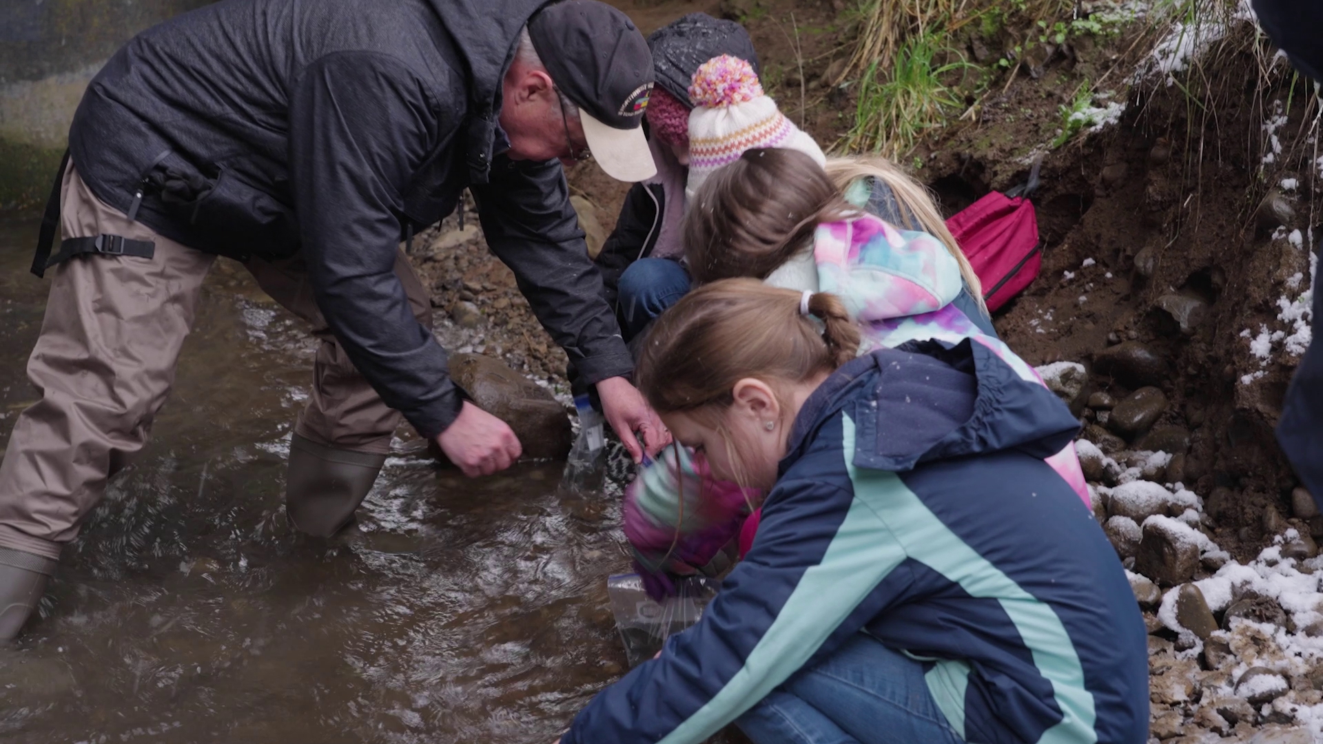 'Eggs to Fry' Oregon educational program turns 30 | kgw.com
