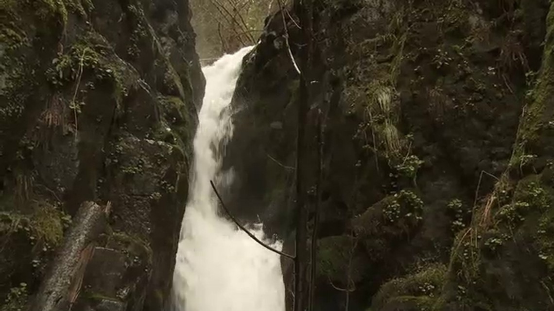 Grant's Getaways: A paddle on the Tualatin River | kgw.com