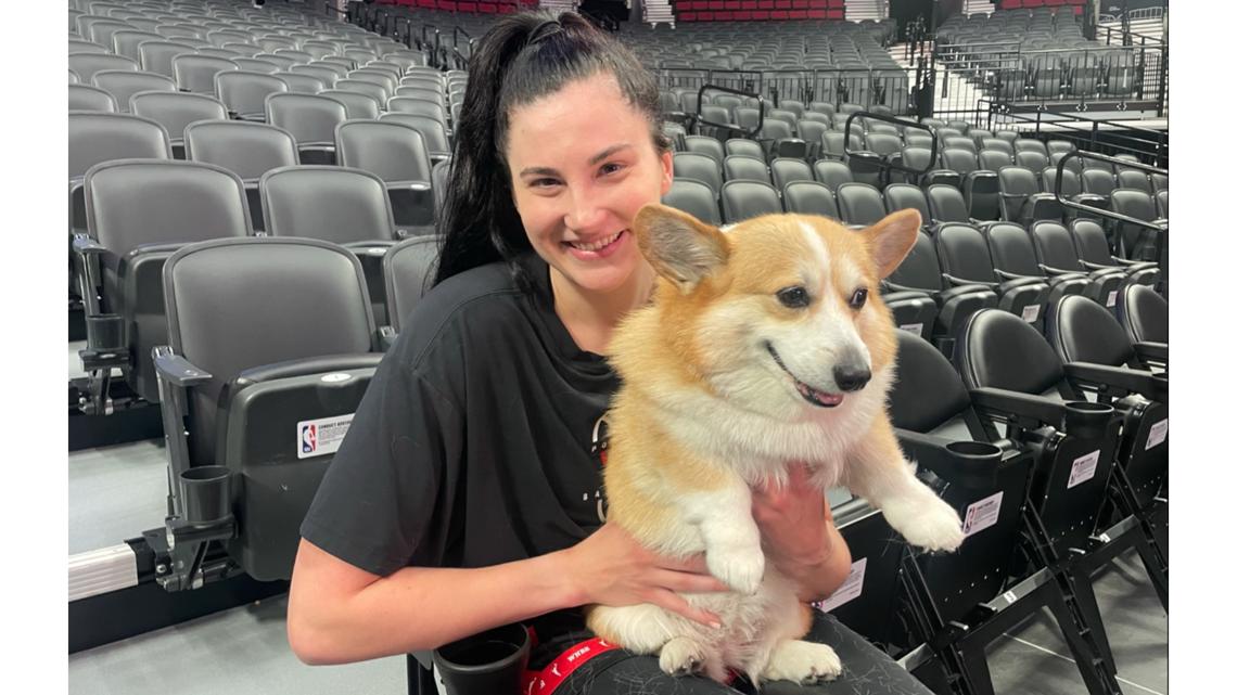 Pancake the corgi stands tall for the Portland Fire: 'She's brought so ...