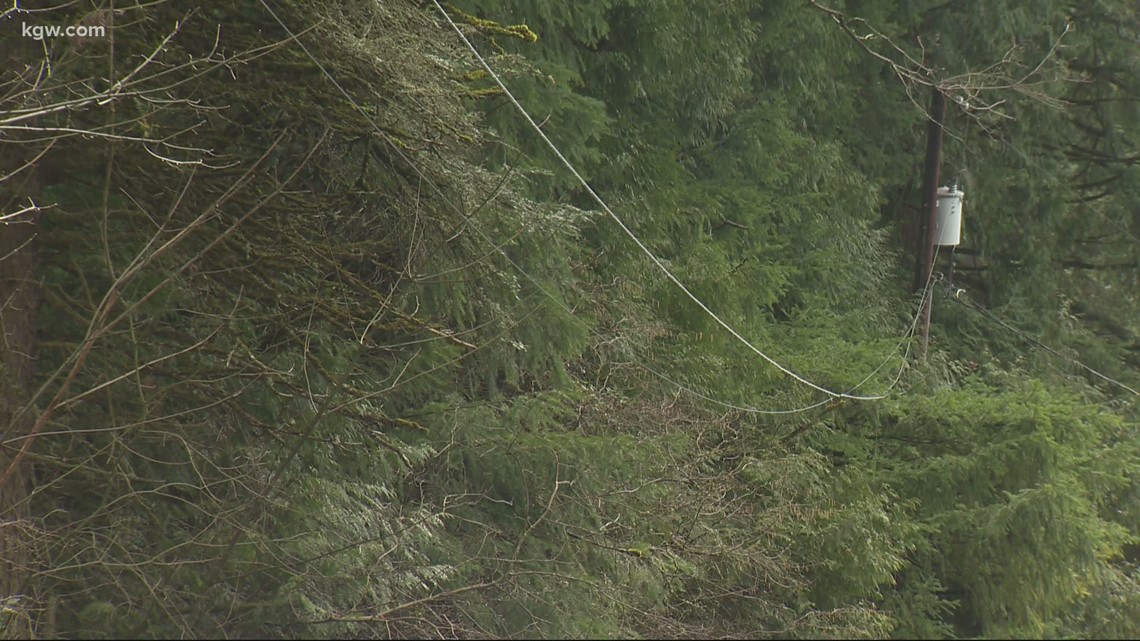 Thousands without power more than a week after Oregon storm | kgw.com