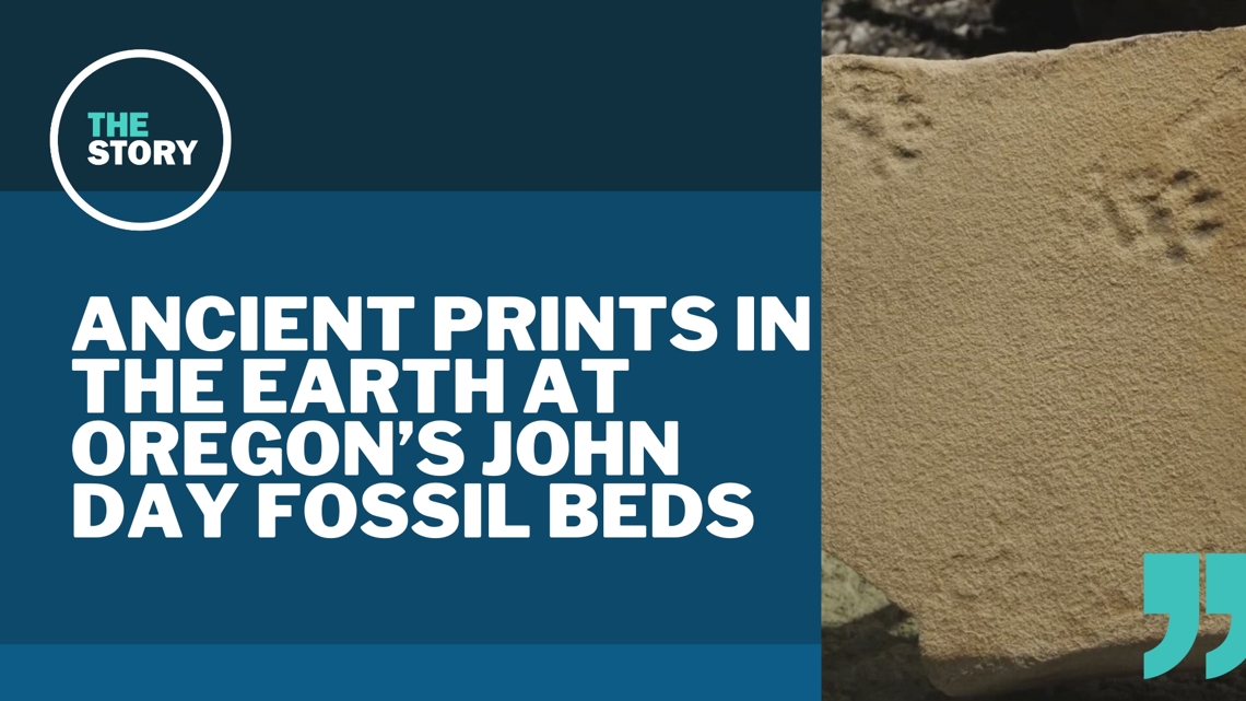 New study illuminates animal tracks at John Day Fossil Beds many ...
