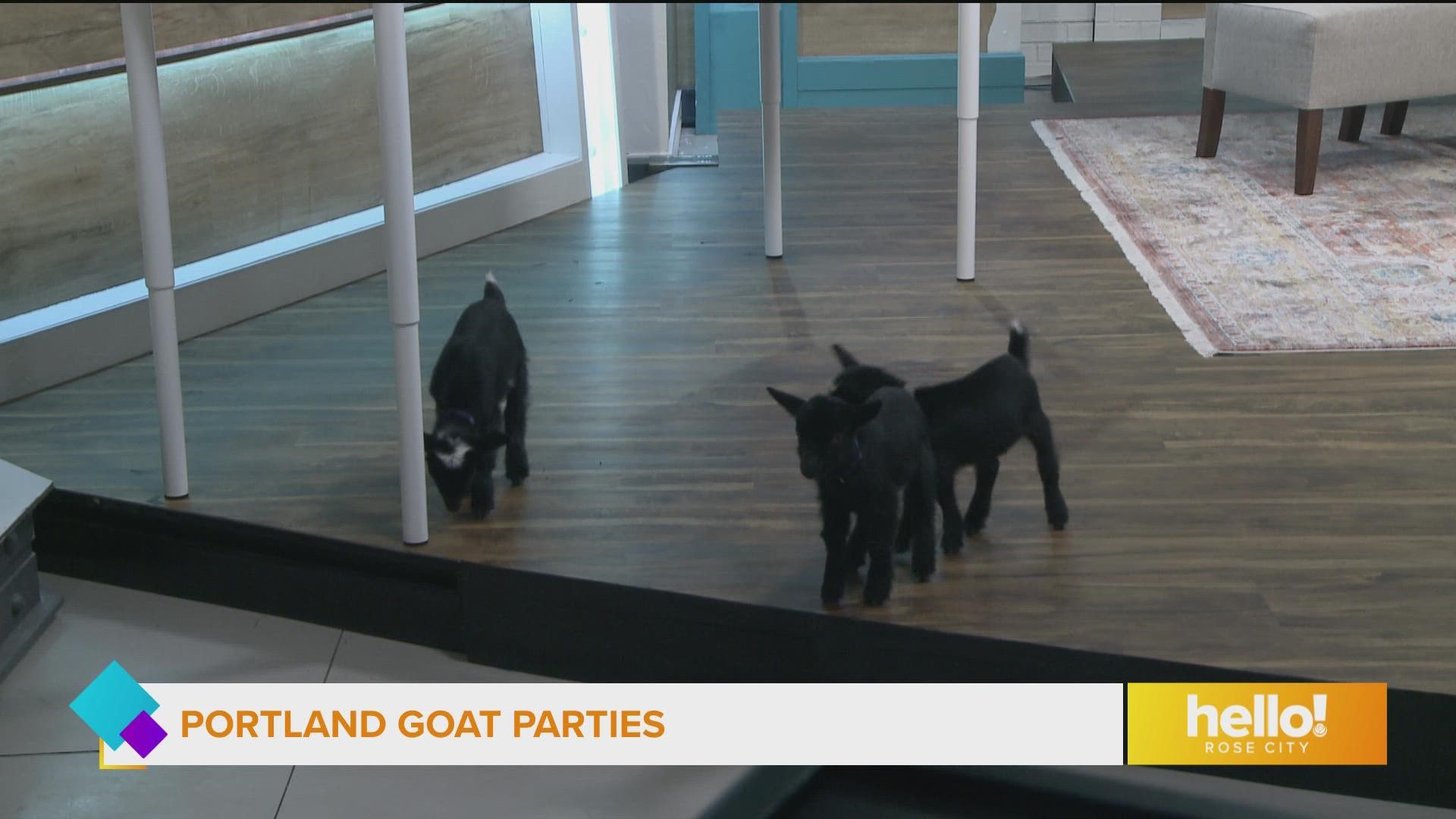 Baby goats from Portland Goat Parties | kgw.com