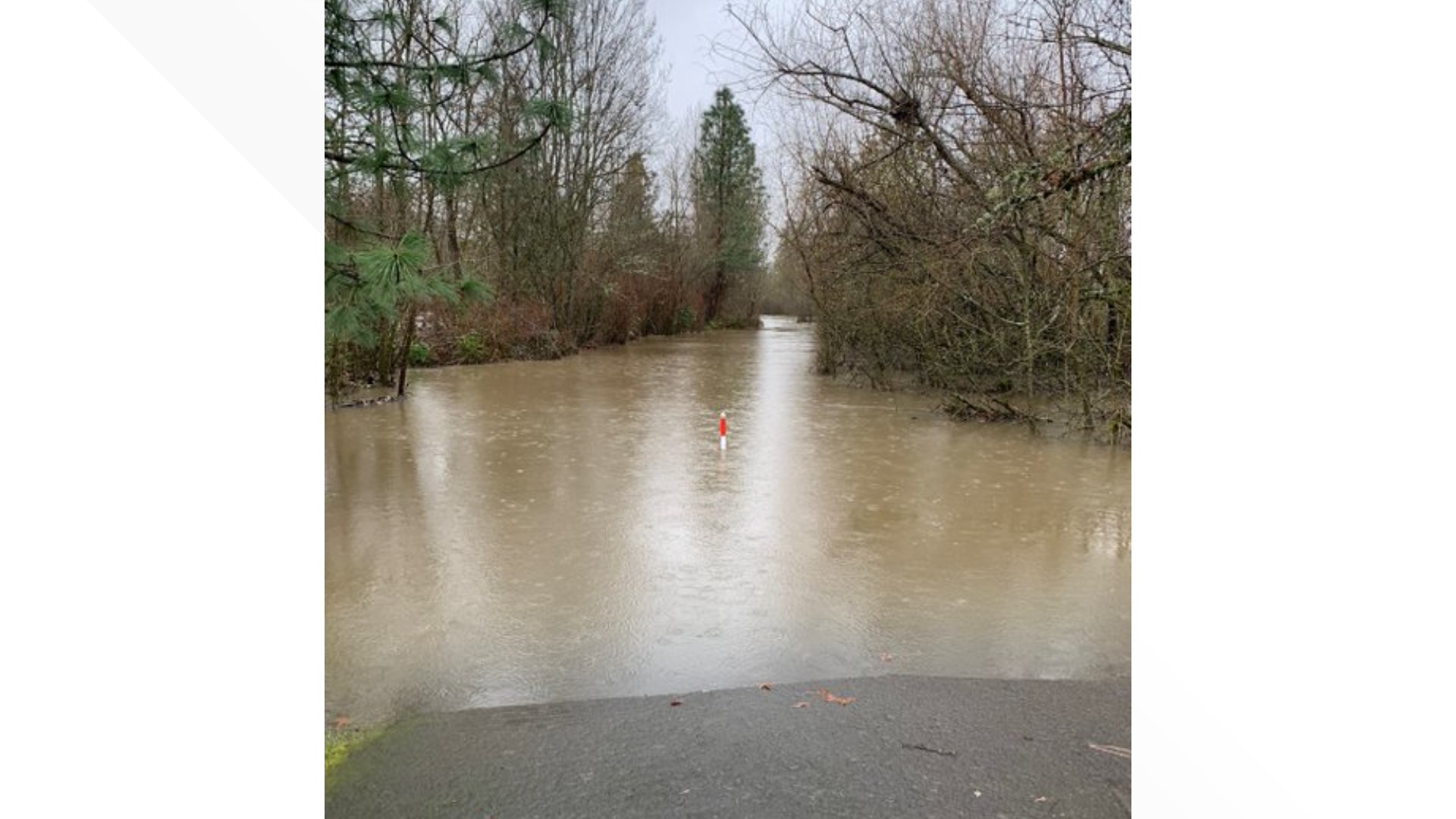Portland grapples with flooding and downed trees citywide | kgw.com