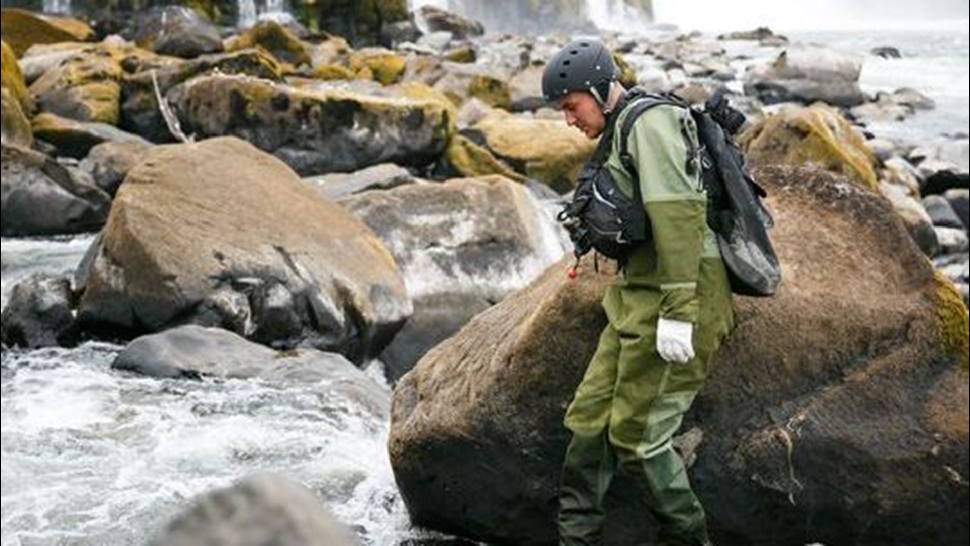 Oregon's prehistoric fish making a comeback | kgw.com