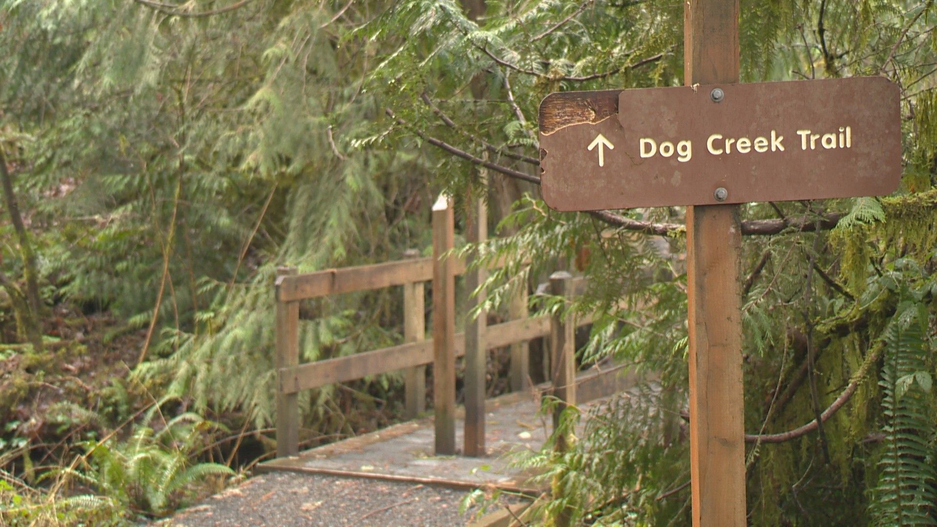 Get out there with First Day Hikes at Oregon's state parks | kgw.com