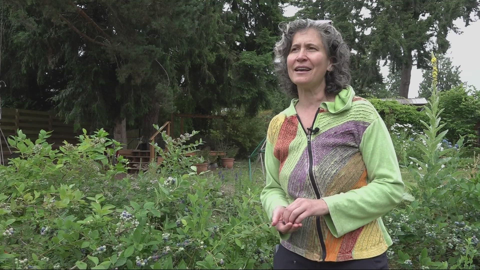 Oregon foster parent recruiters using AI to match potential families ...