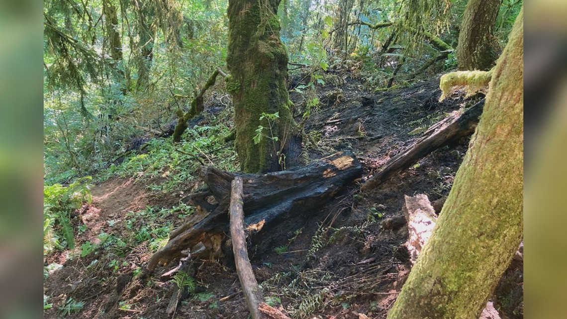 Oregon firefighters are preparing for more fires this season | kgw.com