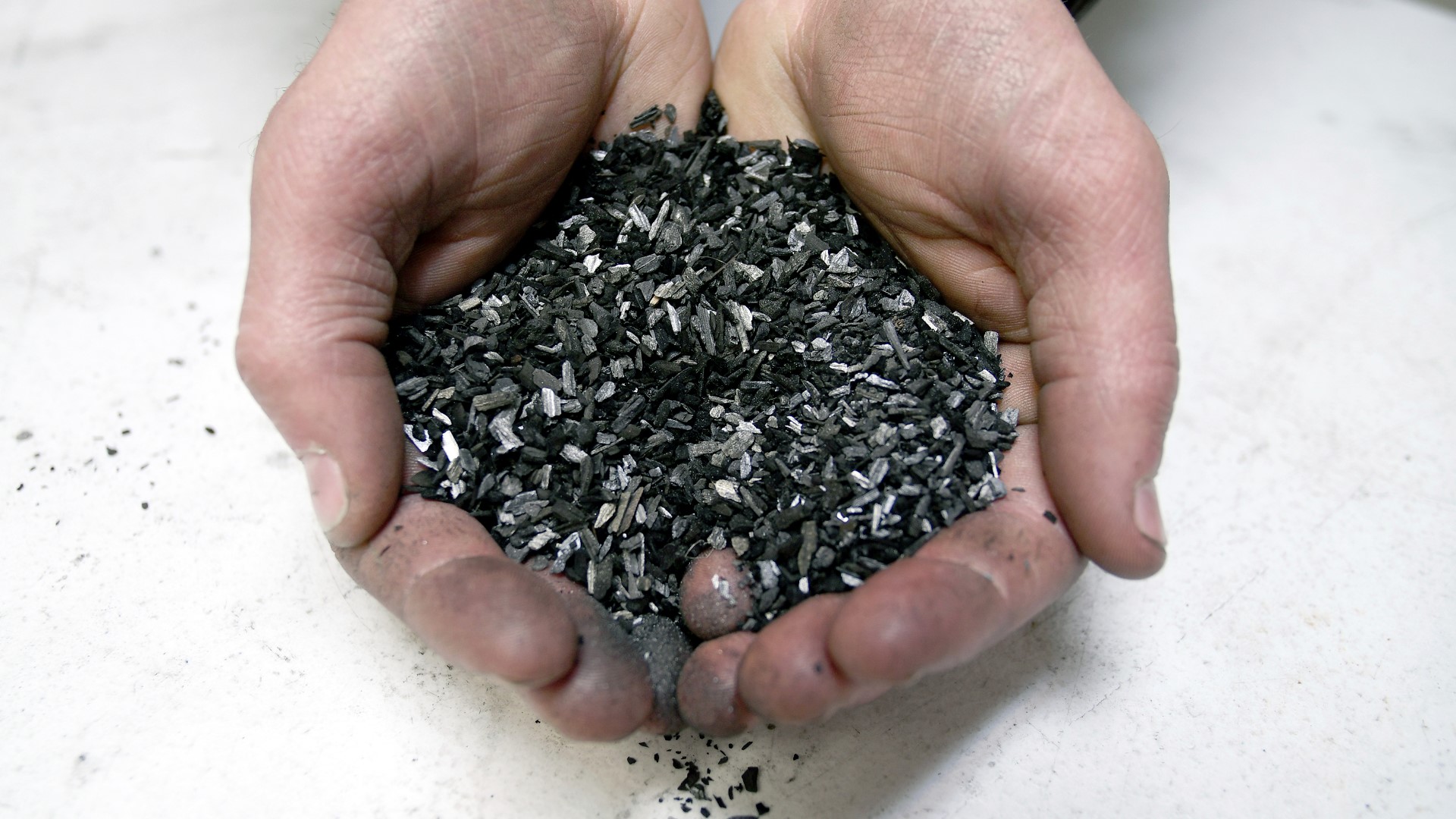 Oregon tests new method to eliminate emerald ash borer | kgw.com