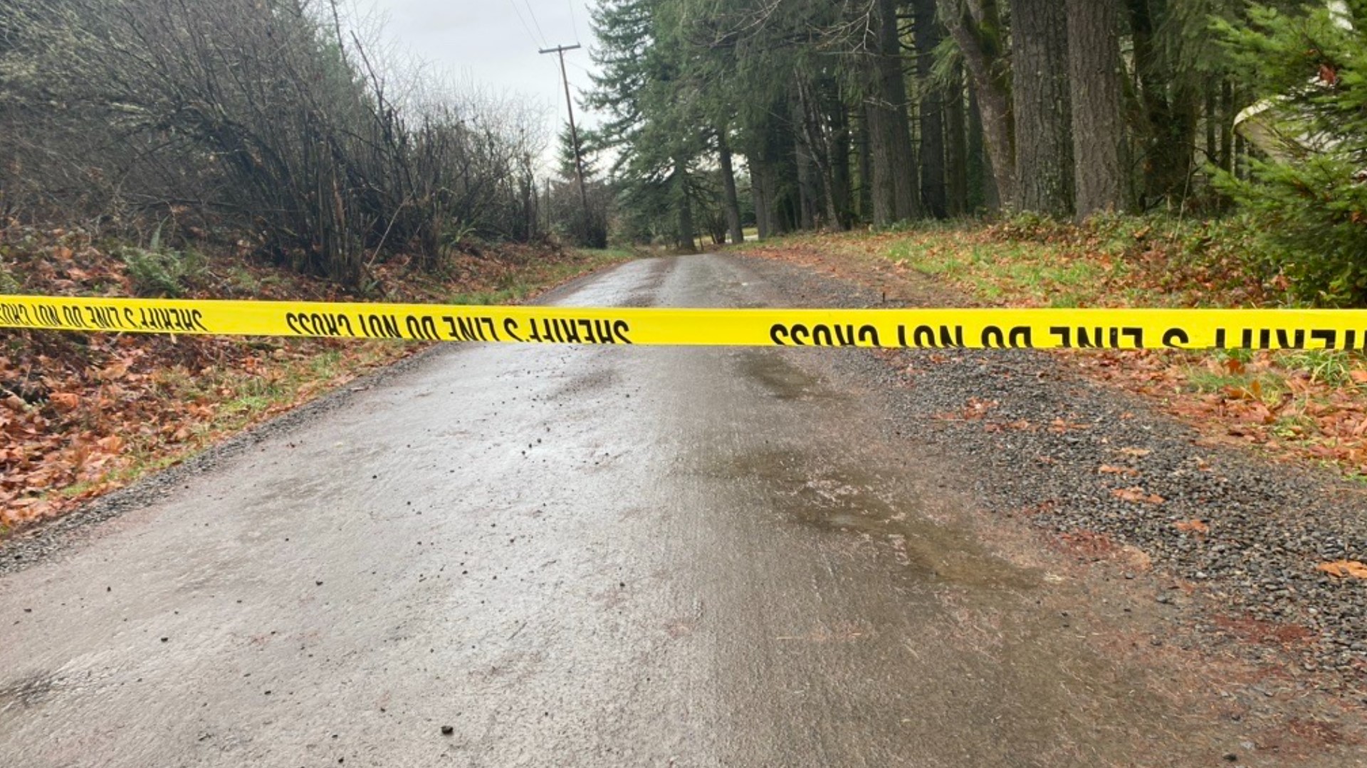 Classrooms in Crisis: New statewide report calls student outbursts ...