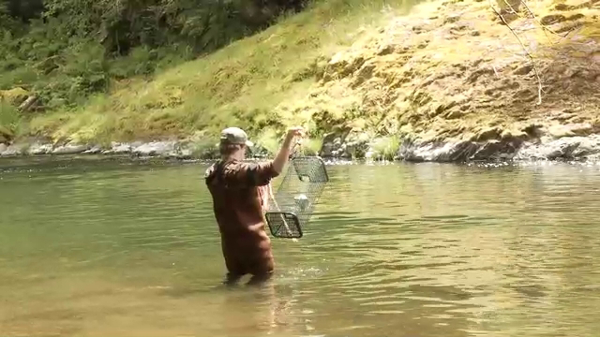 Camping on Trask River in Oregon Coast Range | kgw.com