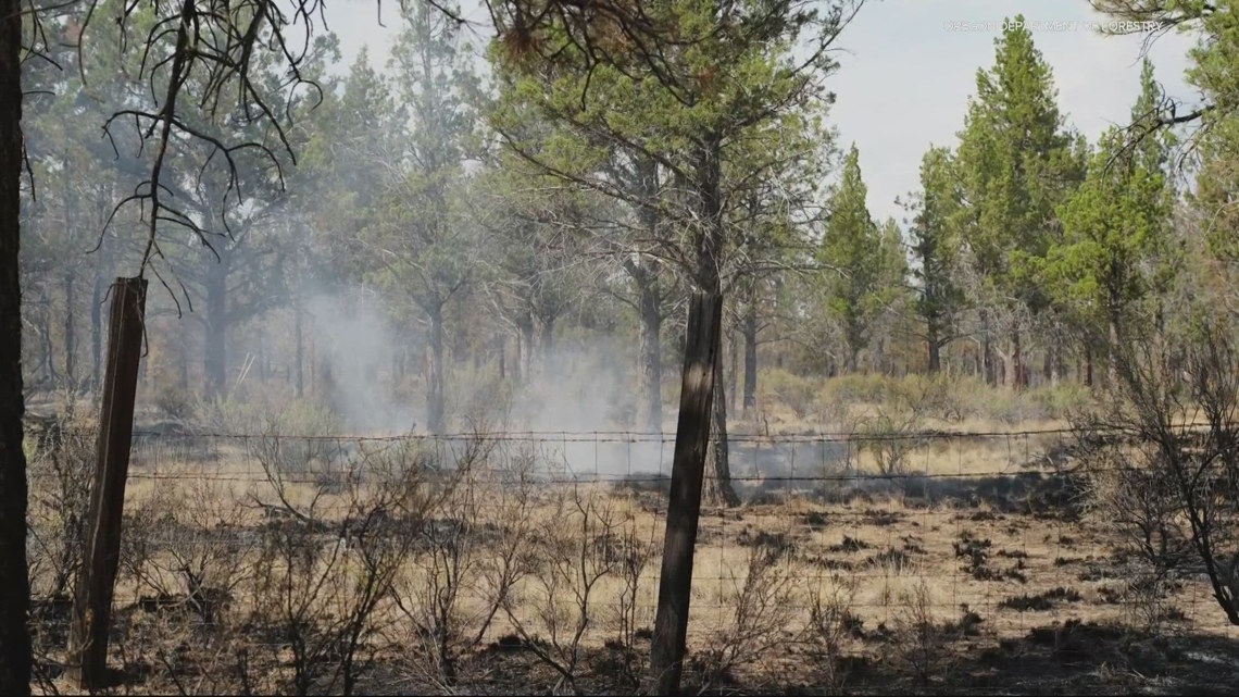 Firefighters battle Flat Fire near Sisters, Oregon; 2,300 homes at risk ...