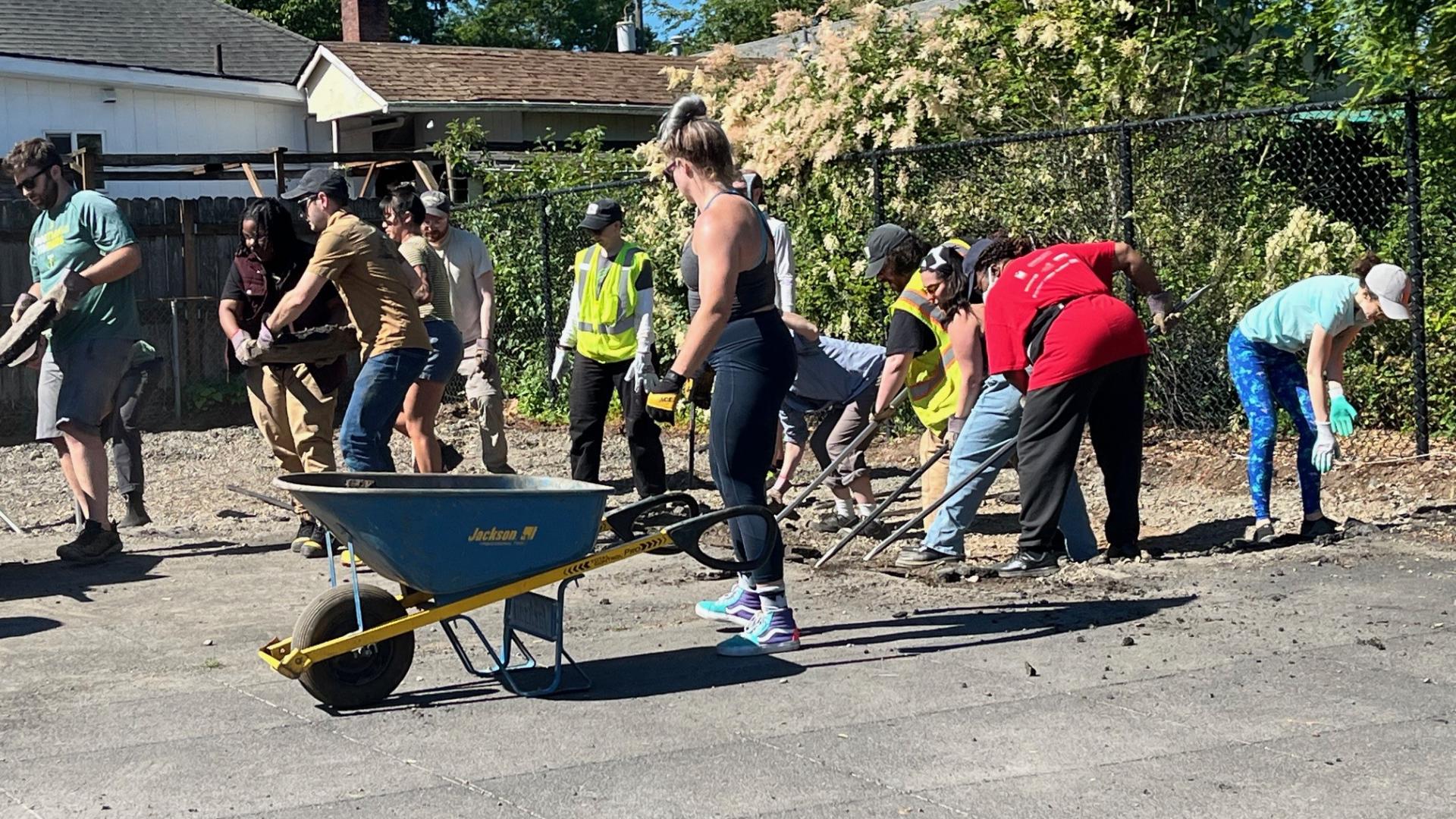 Poop gives researchers unique insight into whale health | kgw.com
