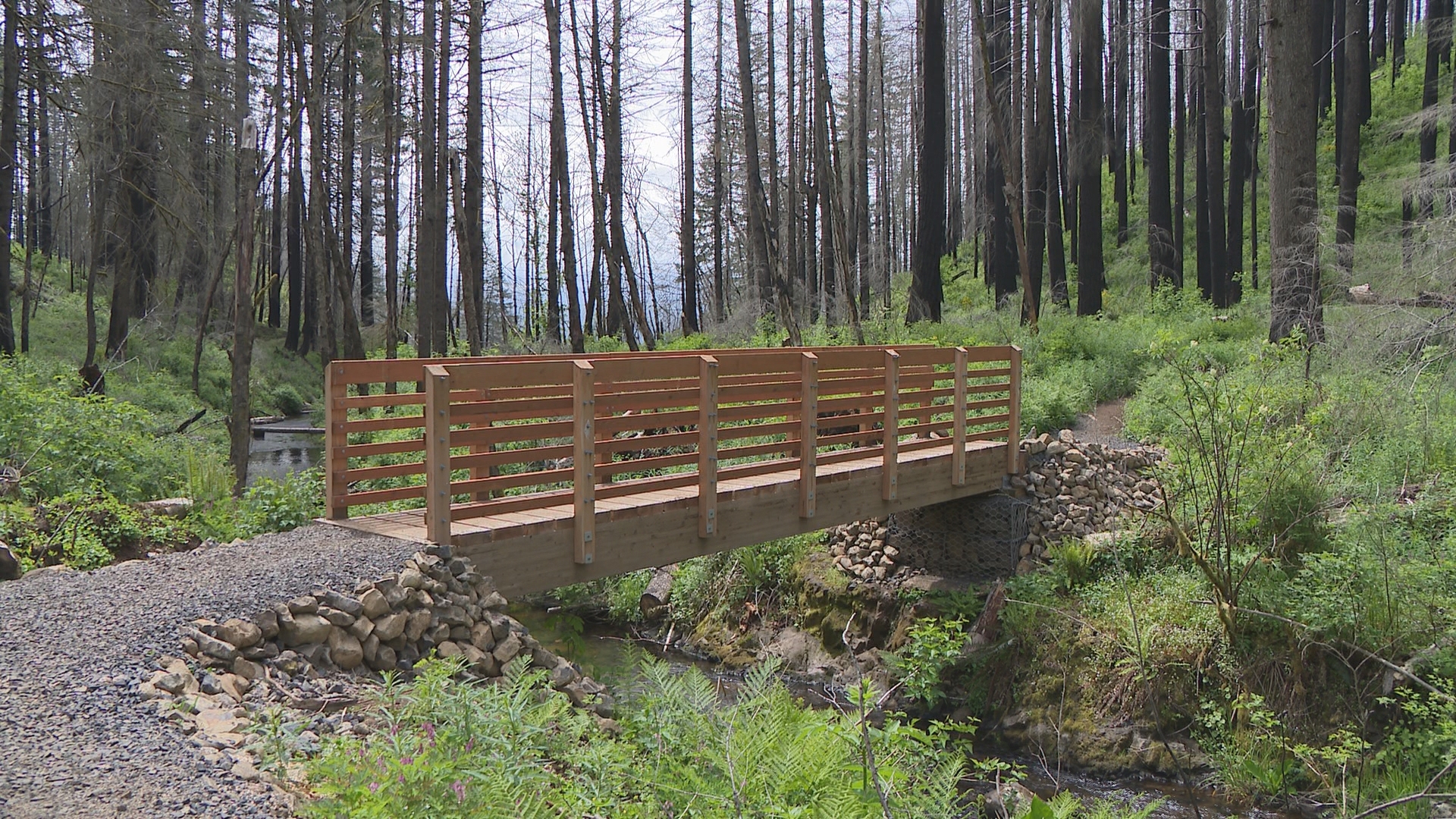 Shellburg Falls Recreation Area reopens after Oregon's Labor Day | kgw.com