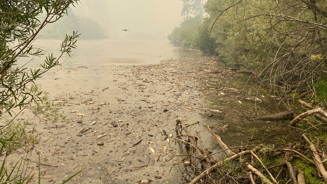 Ranchers told to stop diverting water in area hit by drought | kgw.com
