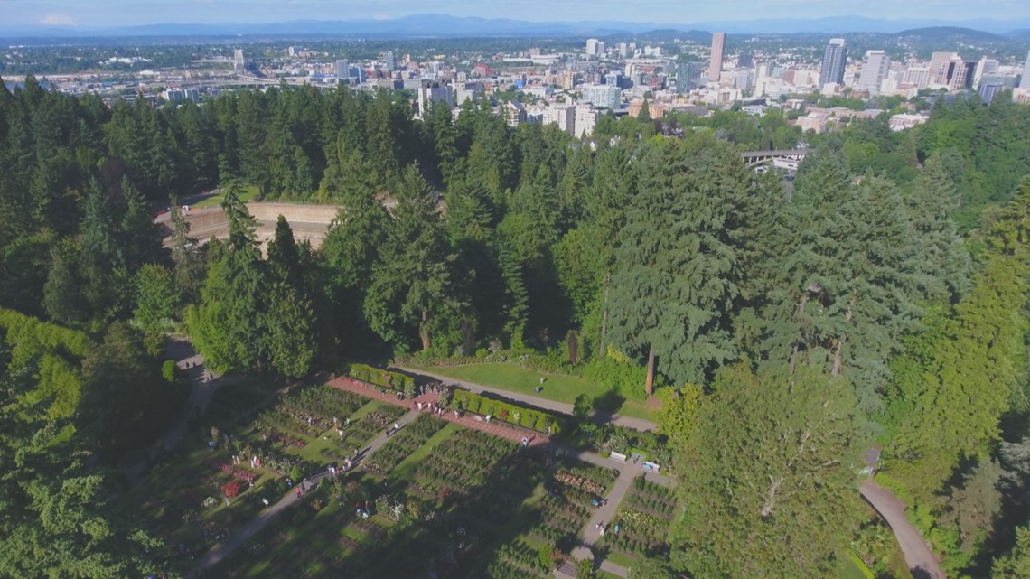 Smokey Bear license plates available in Oregon starting today | kgw.com