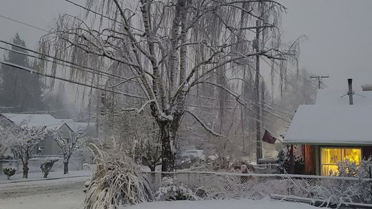 Winter storm in Oregon: Record snow falls in Portland | kgw.com